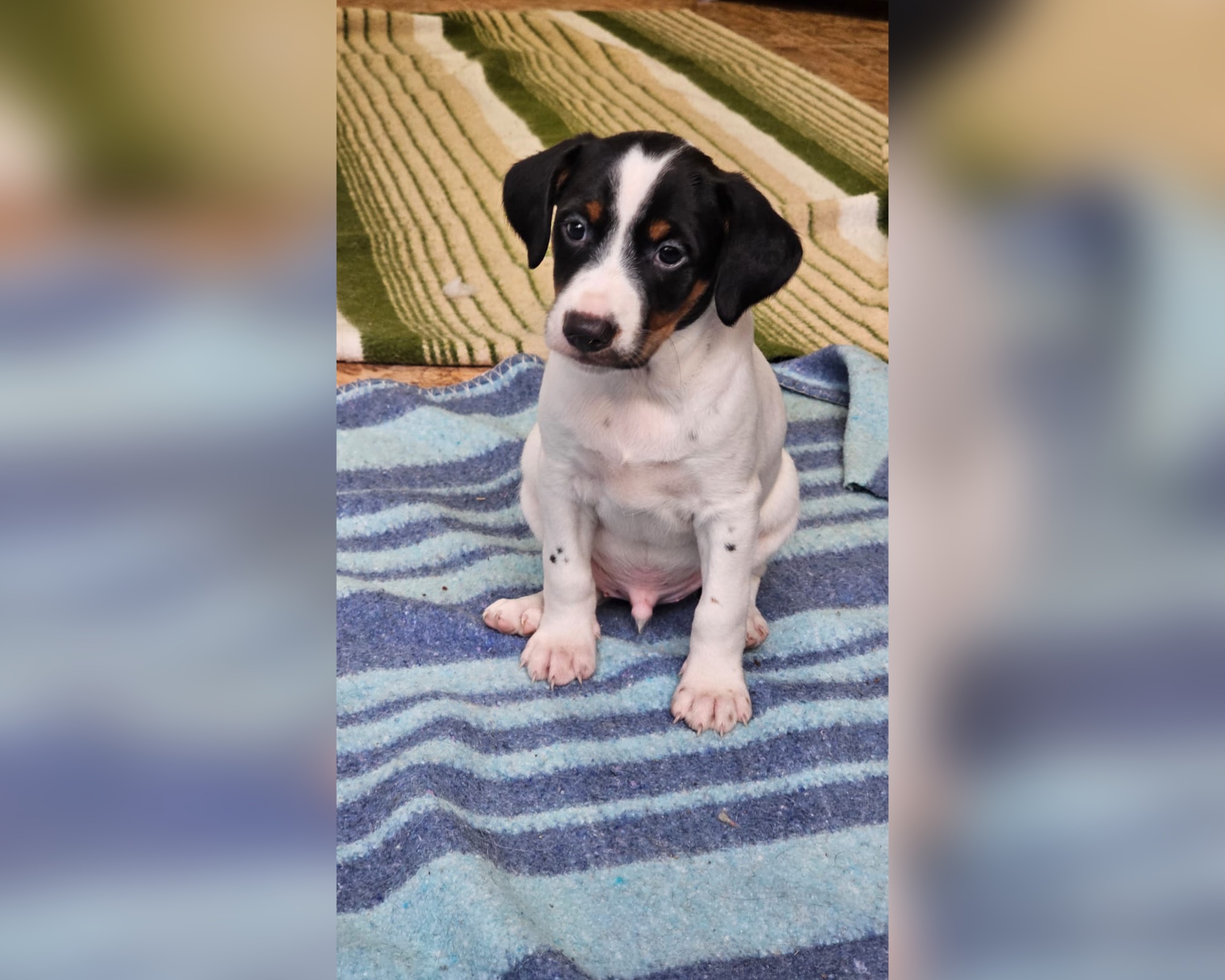 Kamari – Grupo de Ayuda a Bodegueros